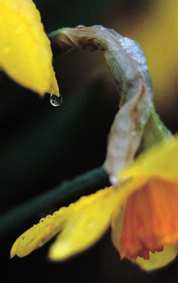 The seasons turn | East Oregonian