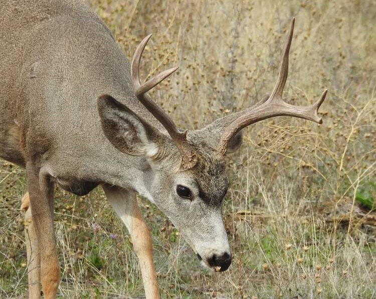 Oregon weather for Sept. 24-28 | East Oregonian