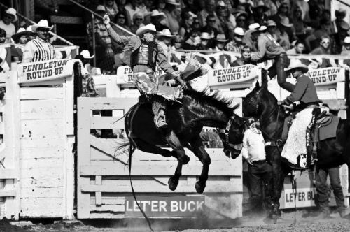 Mote continues strong comeback | East Oregonian