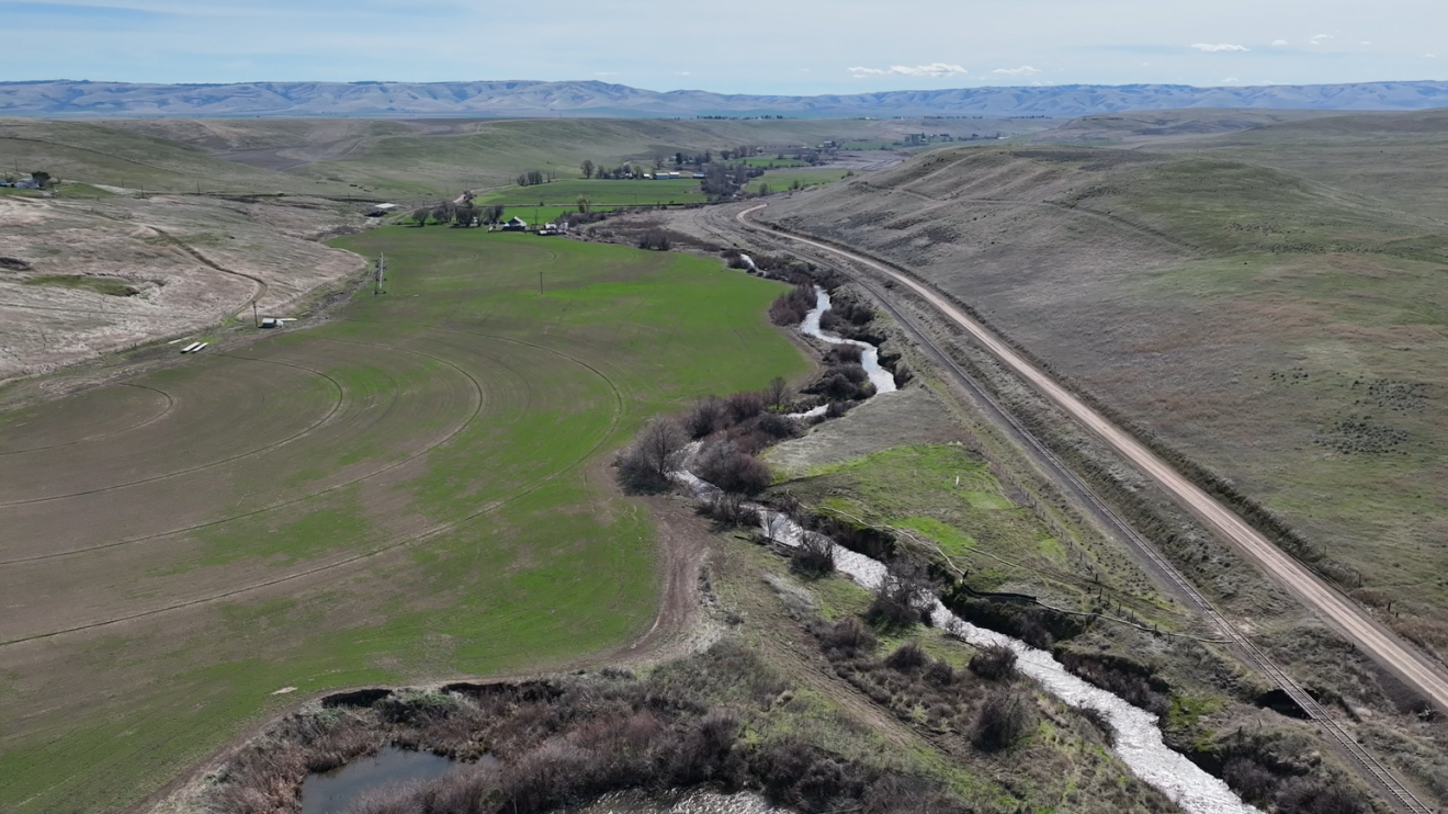 Amazon partners with CTUIR to restore Birch Creek flows and fish | East ...