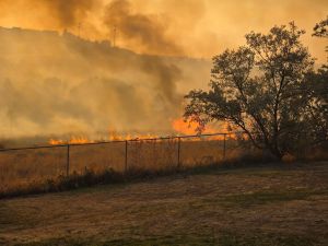 News | East Oregonian