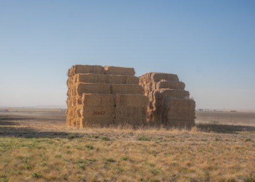 Umatilla tribes to open first-ever flour mill | East Oregonian
