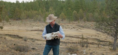 Cattle mutilation documentary centers on Eastern Oregon lifestyle | East Oregonian