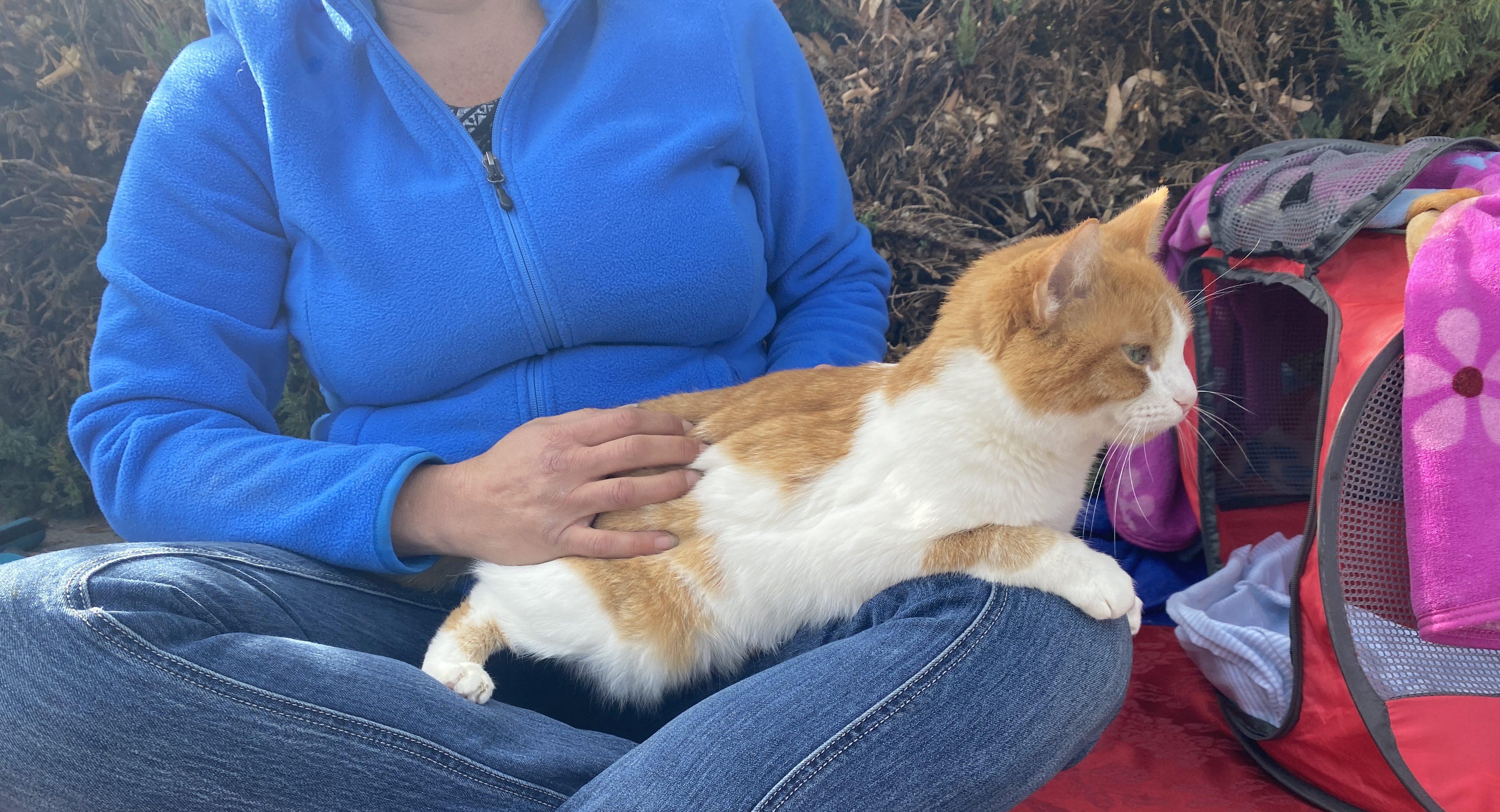 5 Pendleton homeless residents sue city for constitutional violations ...