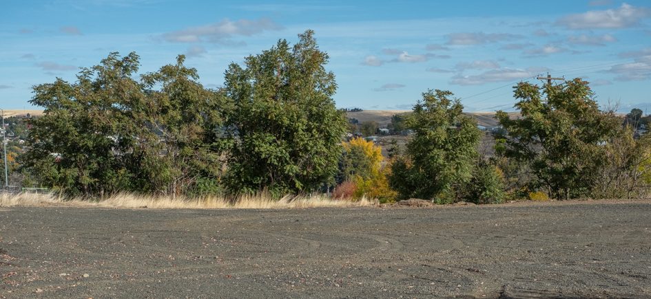 Pendleton’s new garden to open in spring of 2026 | East Oregonian